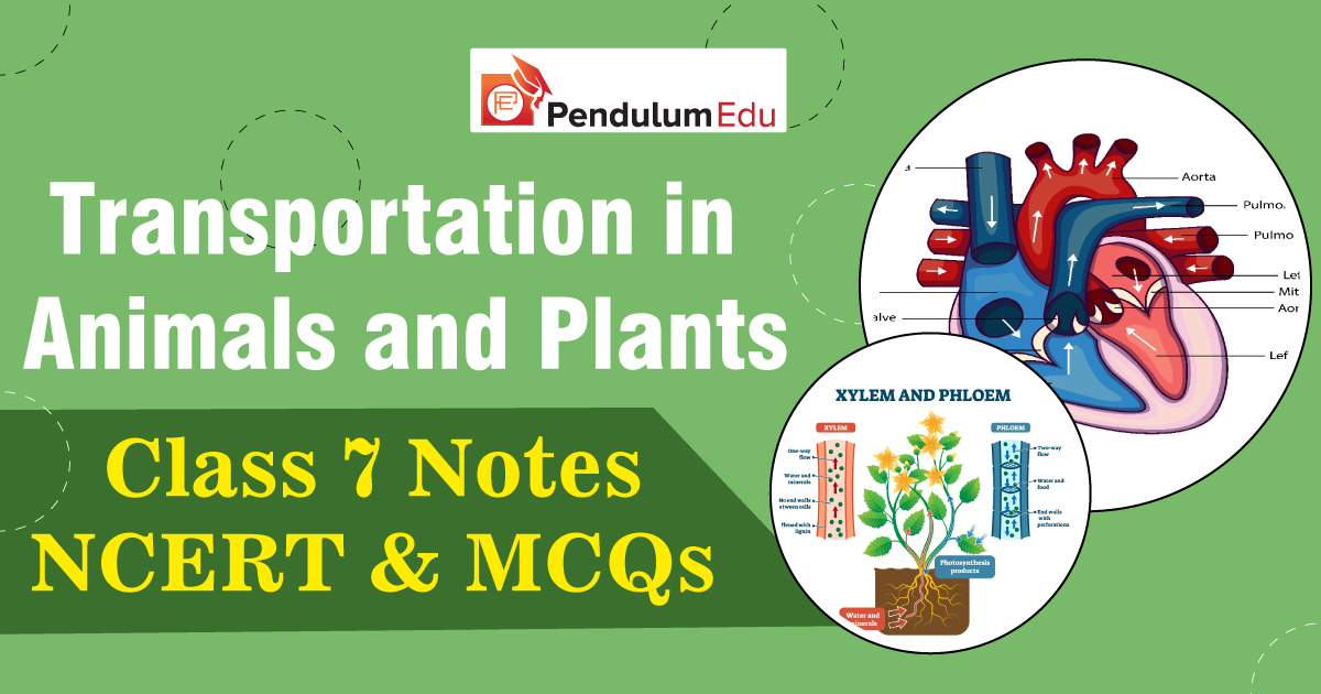 Class 7 Science Chapter 11 Notes