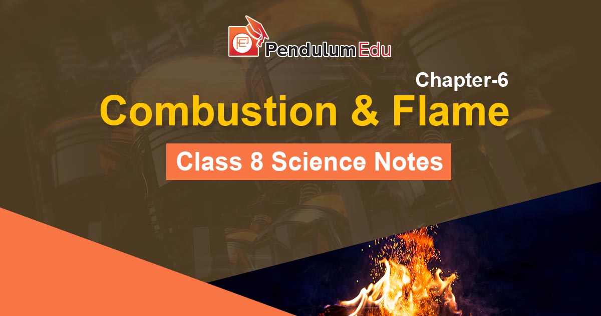 NCERT Class 8 Science Chapter 6 Notes